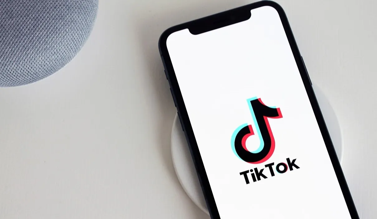 TikTok EU users reach 178 million as platform details 112 million ...